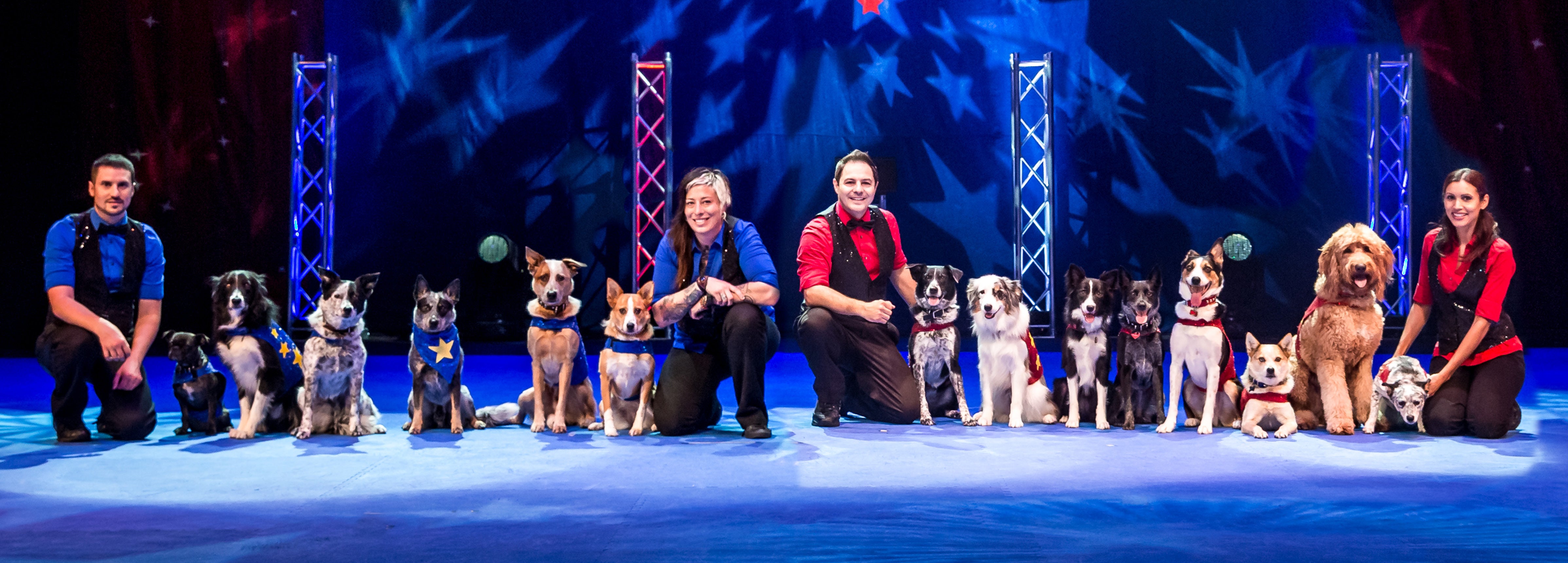 SOLD OUT: The Perondi's Stunt Dog Experience | Oxford Performing Arts ...